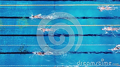 Group of Swimmers Training in an Outdoor Pool Top View Stock Video ...