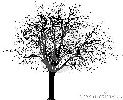 Grunge Tree Royalty Free Stock Images - Image: 17749379