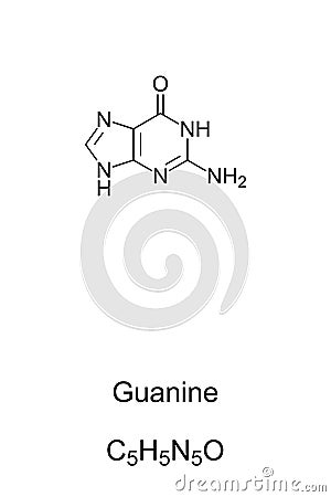 Guanine, G, Gua, Nucleobase, Chemical Formula And Skeletal Structure ...