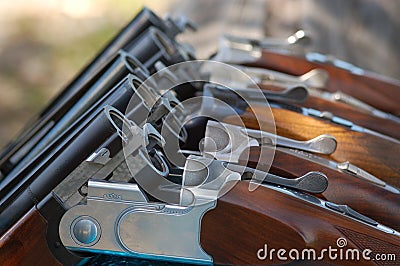 Guns In Line Royalty Free Stock Photos - Image: 19321598