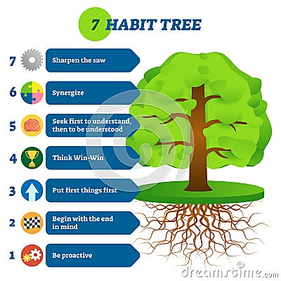 7 Habit Tree Success Mindset Stages Vector Illustration | CartoonDealer ...