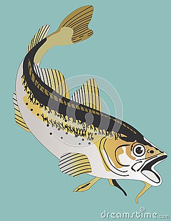 Haddock Fish Royalty-Free Illustration | CartoonDealer.com #12265368