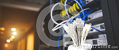 Hand Choose RJ45 UTP Cat6 LAN Internet Network Cable Fiber Optic And ...