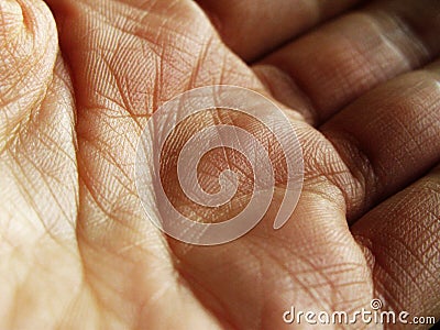 Hand Close Up Stock Photography - Image: 3361002