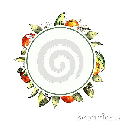 Hand Draw Frame Of Mandarin, Leaves And Flowers. Drawing Markers ...