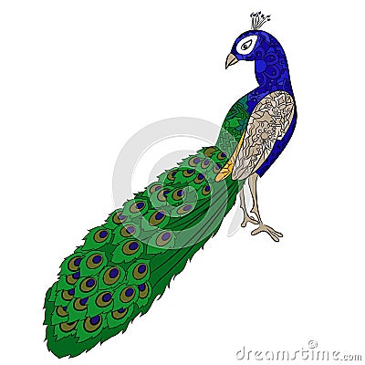 Hand Drawing Peacock Cartoon Vector | CartoonDealer.com #42127039