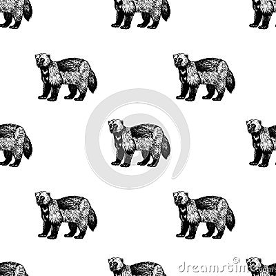 Hand Drawn Background With Wolverine. Vector Seamless Pattern ...