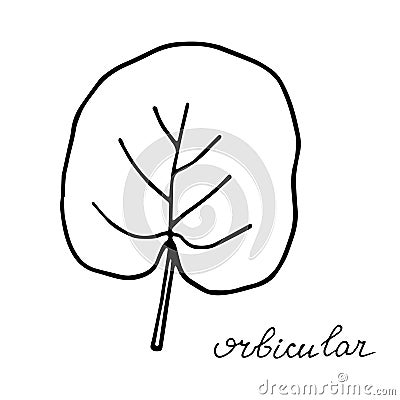 Hand Drawn Doodle Leaf. Black Shape With Different Forms. Orbicular ...