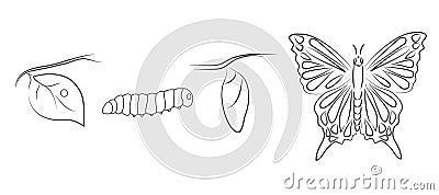 Metamorphosis Stock Photography - Image: 29821252