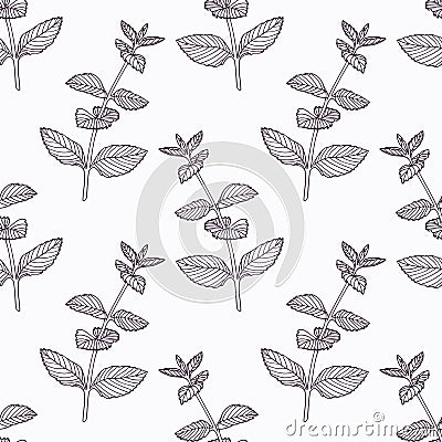 Hand Drawn Mint Branch Outline Seamless Pattern Stock Vector - Image ...