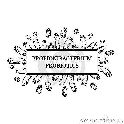 Hand Drawn Probiotic Propionibacterium Bacteria Frame. Design For ...