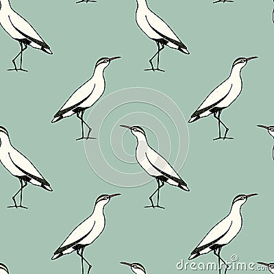 Hand Drawn Shorebird Pattern Vector Illustration | CartoonDealer.com ...