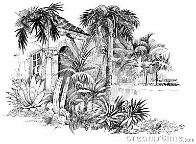 Hand Drawn Sketch Tropical Resort Illustration Cartoon Vector ...