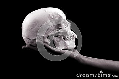 Hand Holding Skull Stock Photo - Image: 3381740