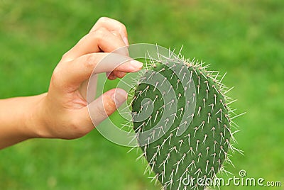 Hand Touch Cactus Stock Photography - Image: 24990502