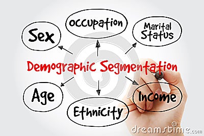 Demographic Segmentation Mind Map Flowchart Social Business Concept For ...