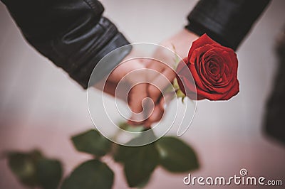 Hands Of Couple Holding Red Rose Stock Photo - Image: 48943252