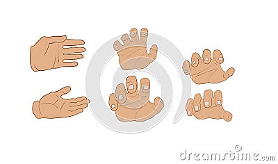 Hands In Different Angles Cartoon Vector | CartoonDealer.com #41596529