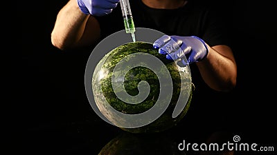 Hands of Scientist Injecting Chemicals into a Watermelon Stock Footage ...