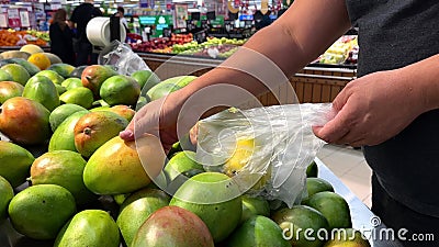 Hands Sorting Mangoes and Putting Them in a Plastic Bag, Buying Fruit ...
