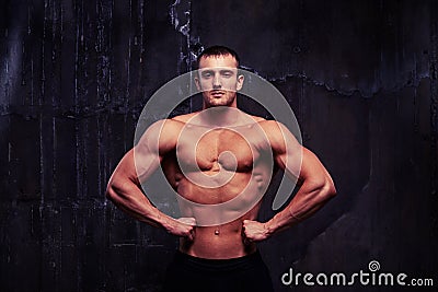 Handsome Bodybuilder With Toned Muscular Body Posing Shirtless Royalty ...