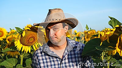 Handsome Farmer Man Dancing in Sunflowers Field Stock Video - Video of ...