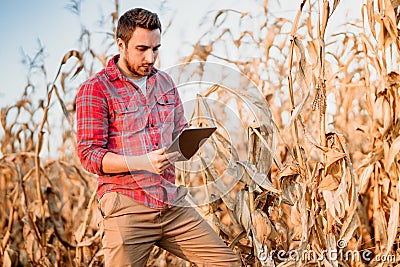 Handsome Farmer Using Tablet For Harvesting Crops. Farming Equipment ...