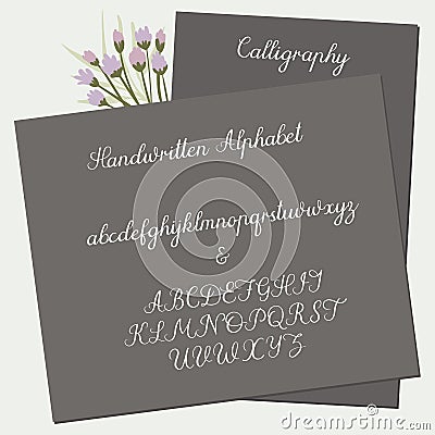 Handwritten Alphabet. Modern Calligraphy. Uppercase, Lowercase Letters ...