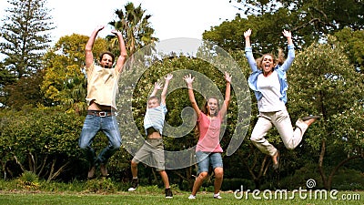 Happy Family Jumping Together Stock Footage - Video of happy ...
