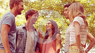 Happy Group of Friend Speaking Together in the Park Stock Video - Video ...