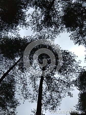 Happy Picnic Under The Tree With Friends Stock Photo | CartoonDealer ...