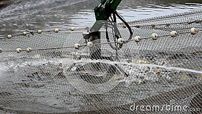 Harvesting Fish in the Pond Stock Footage - Video of industrial ...