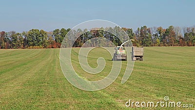 Harvesting Green Fodder in the Field Stock Footage - Video of crop ...