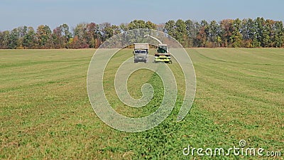 Harvesting Green Fodder in the Field Stock Video - Video of landscape ...
