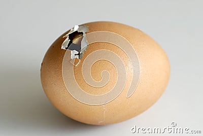 Hatching 2 Stock Photos - Image: 1376053