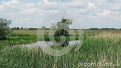 Havel River in Summer. Havelland (Brandenburg, Germany) Stock Footage ...