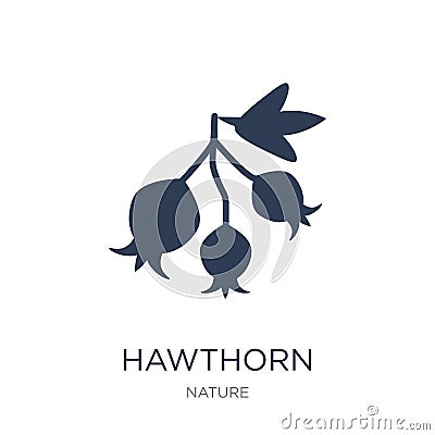 Hawthorn Icon. Trendy Flat Vector Hawthorn Icon On White Background ...