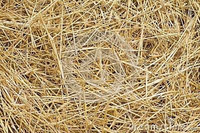 Hay Background Royalty Free Stock Photos - Image: 15696878