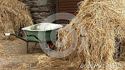 Hay in the horse stable stock footage. Video of high - 62186512