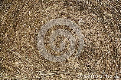 Hay Roll Texture Stock Photo | CartoonDealer.com #76105148