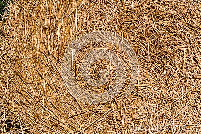 Haystack Texture. Hay Twisted Into A Roll On The Field. Summer Royalty ...