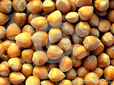 Hazelnut Texture Background Royalty-Free Stock Photography ...