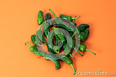 Heaped Pile Of Fresh Padron Peppers On Orange Background Royalty-Free ...
