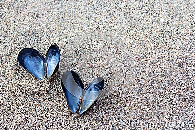 Heart Shaped Open Mussel Shell On The Beach Royalty-Free Stock ...