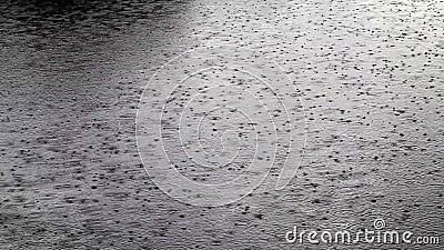 Heavy Rain Hitting the Water Surface Stock Footage - Video of pond ...