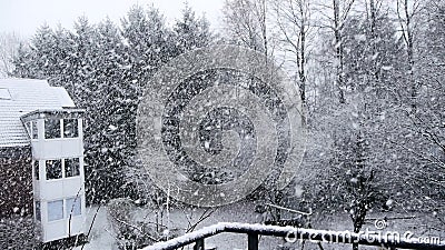 Heavy Snowfall Lake-Effect Snow Stock Video - Video of motion, nature ...