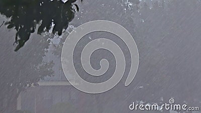 Heavy Thunderstorm with Rain Wind Trees in Monsoon Rainfall. Stock ...