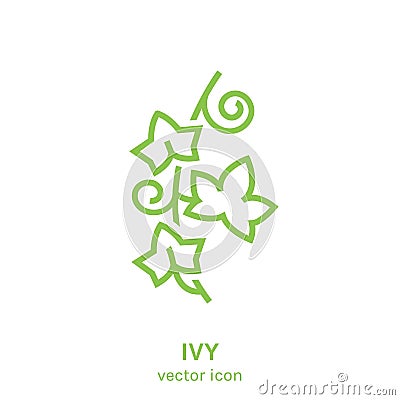 Hedera. Outline Element For Logotype, Symbol, Insignia Design. Vector ...