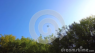 Helicopter Flying Over Trees Stock Footage - Video of green, forest ...
