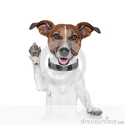 Hello Goodbye High Five Dog Royalty-Free Stock Photo | CartoonDealer ...